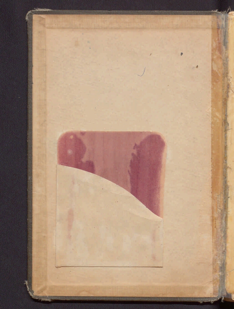 Переписка с Н. Ф. фон-Мекк. 1. 1876 - 1878 | Президентская библиотека ...